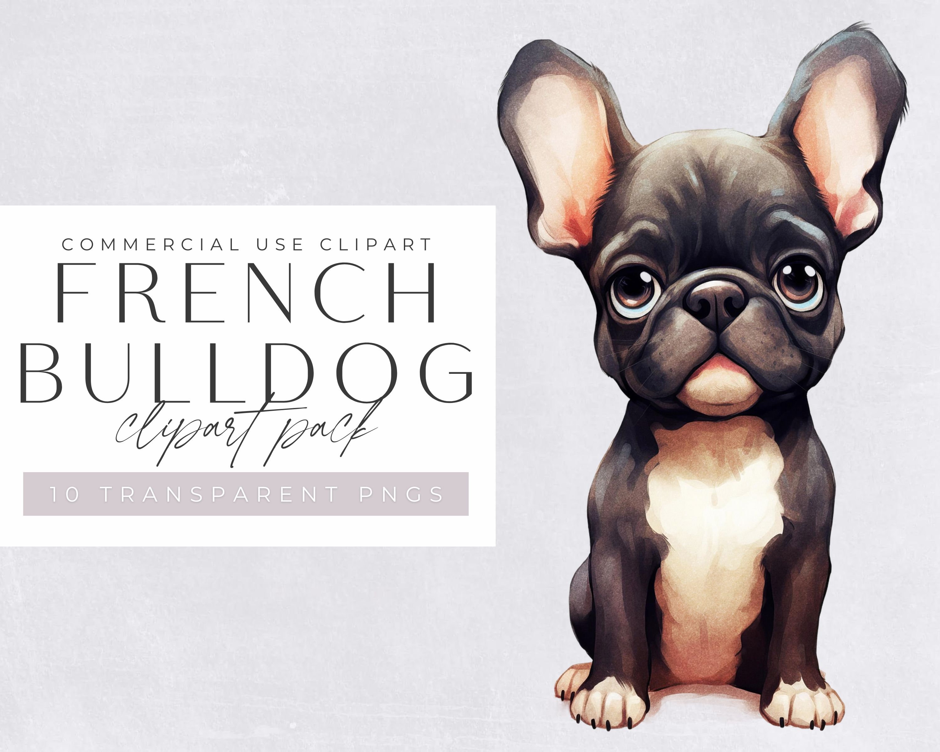 Cute French Bulldog Clipart