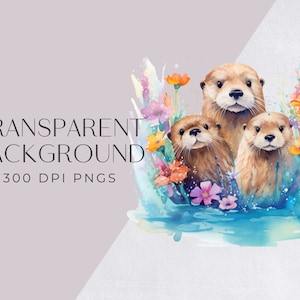 Otter Clipart, Kawaii Otters, Sea Creatures, Watercolor Illustrations ...