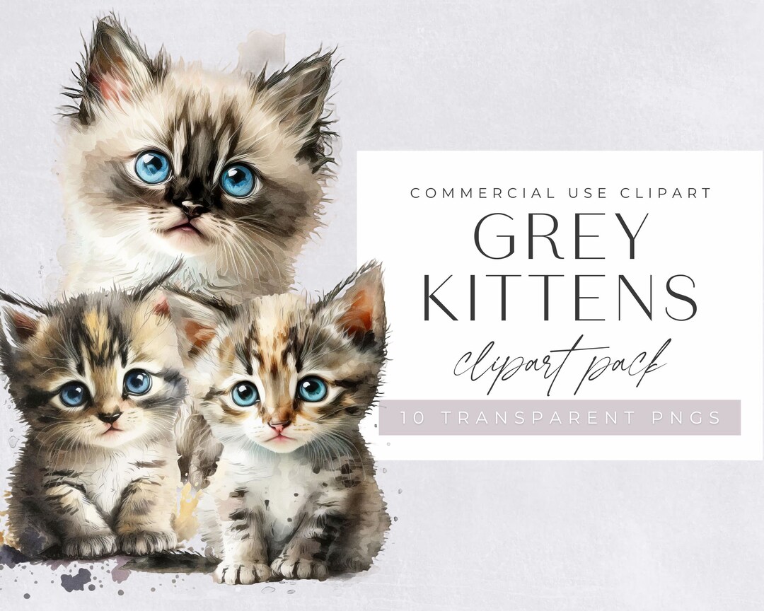 Grey Kittens Clipart Pack, Clip Art for Commercial Use, Transparent ...