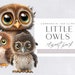 Little Owls Clipart Watercolor, Cute Clipart for Commercial Use ...