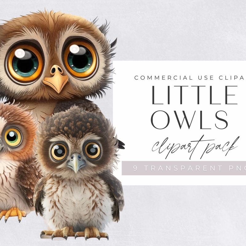 Cute Owls Clipart - Etsy