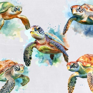 Sea Turtle Clipart Pack, Ocean Animals Png, Tortoise Svg, Sea Creature ...