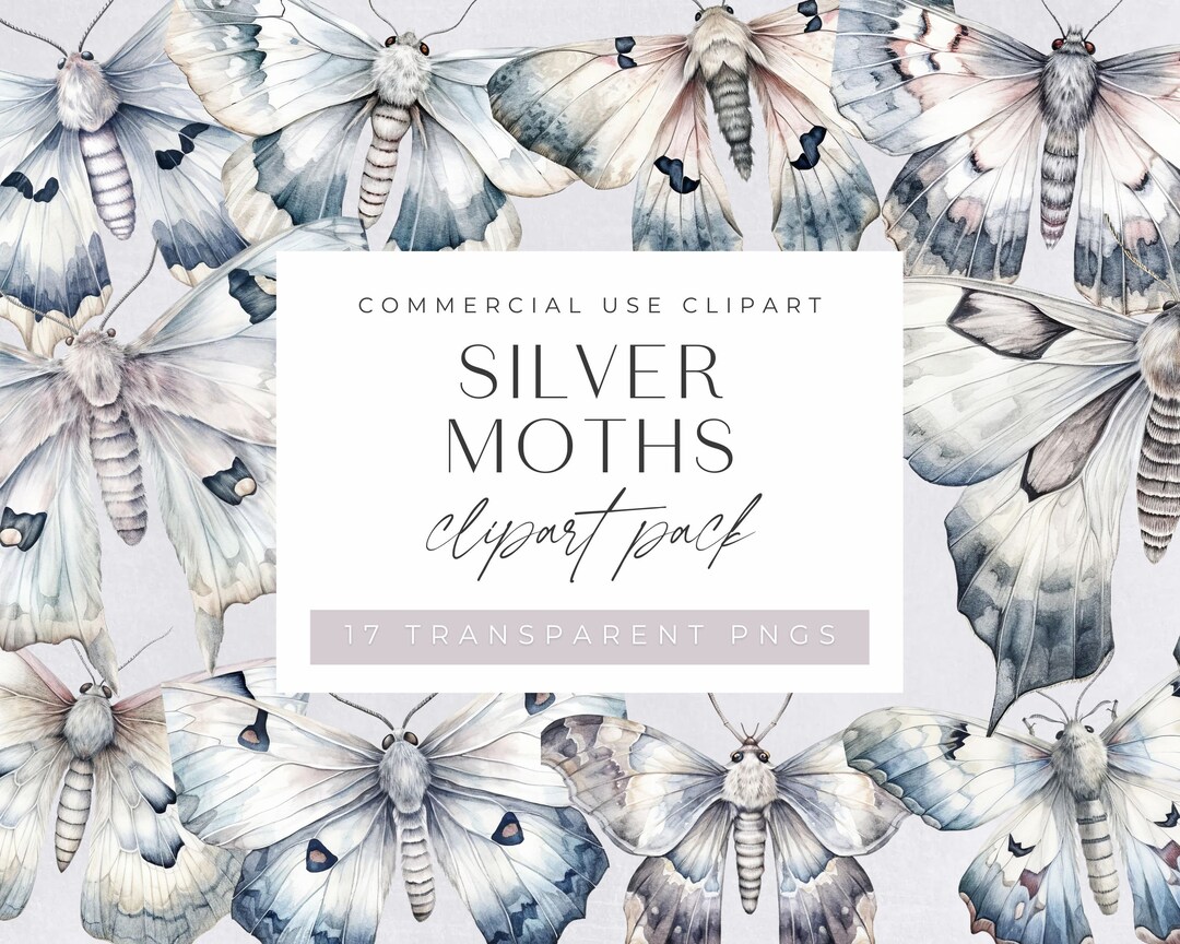 Silver and Gray Moths Clipart Pack, Transparent Png Clipart, Watercolor ...