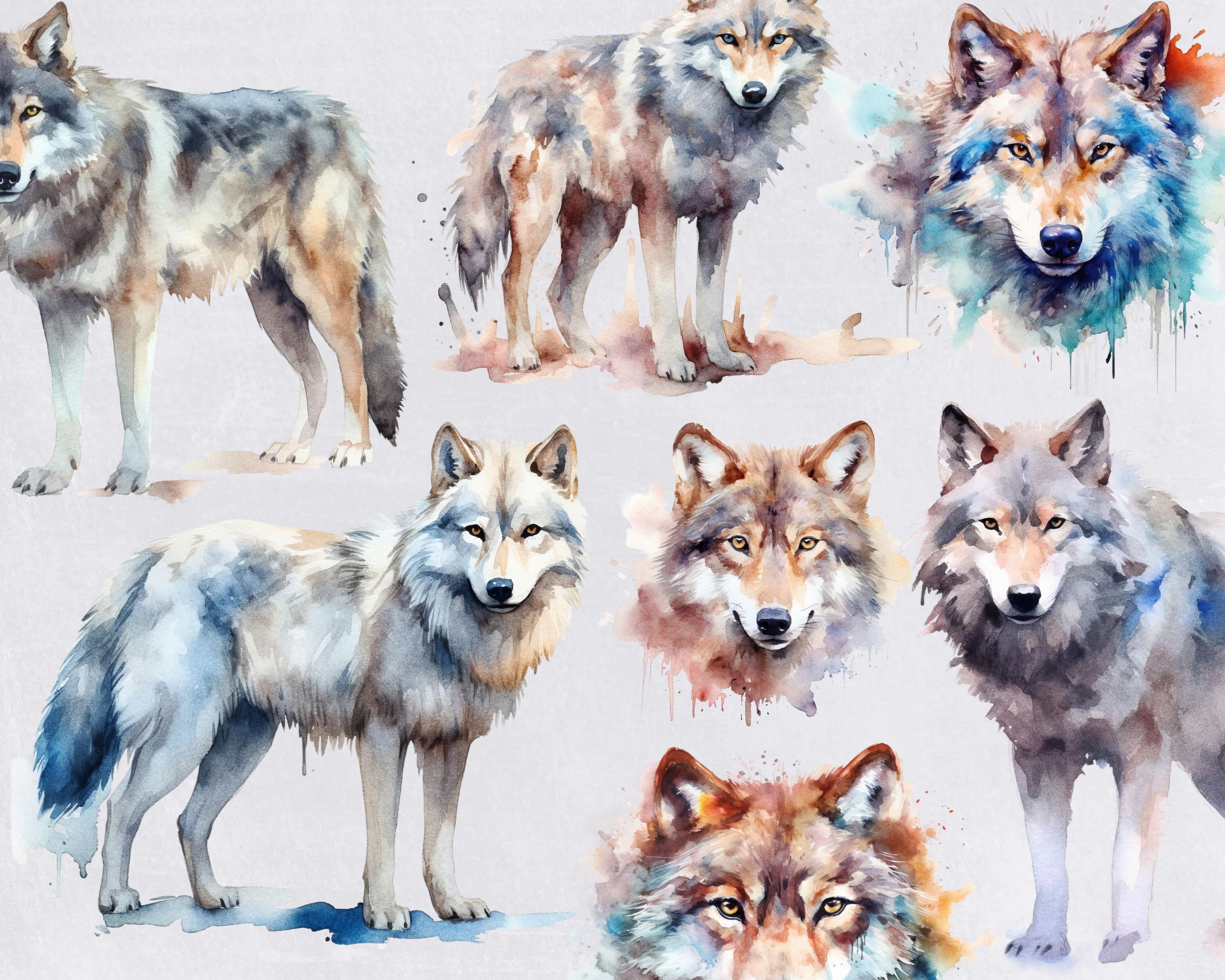 Wolf Clipart, Watercolor Wolves for Commercial Use, Watercolor ...
