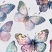 Pastel Butterflies Transparent Png Clipart Watercolor - Etsy
