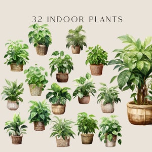 Potted Plants Watercolor Clipart, House Plant Lovers, Indoor Gardening ...