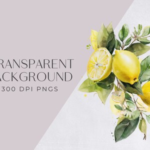 Watercolor Lemons Clipart , Summer Clip Art for Commercial Use ...