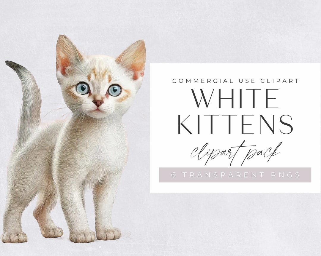 White Kittens Clipart Pack, Clip Art for Commercial Use, Transparent ...