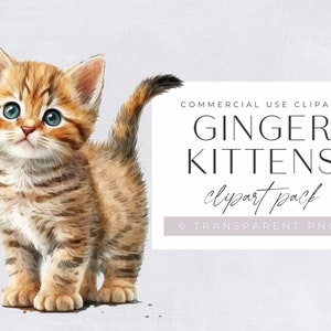 Ginger Kittens Clipart Pack, Clipart for Commercial Use, Transparent ...