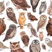 Owls Digital Paper, Scrapbook Paper, Seamless, Instant Download ...