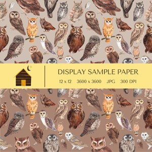 Owls Digital Paper, Scrapbook Paper, Seamless, Instant Download ...