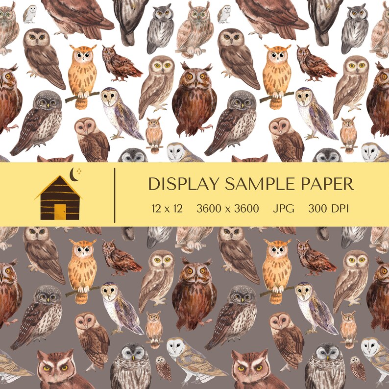 Owls Digital Paper, Scrapbook Paper, Seamless, Instant Download ...