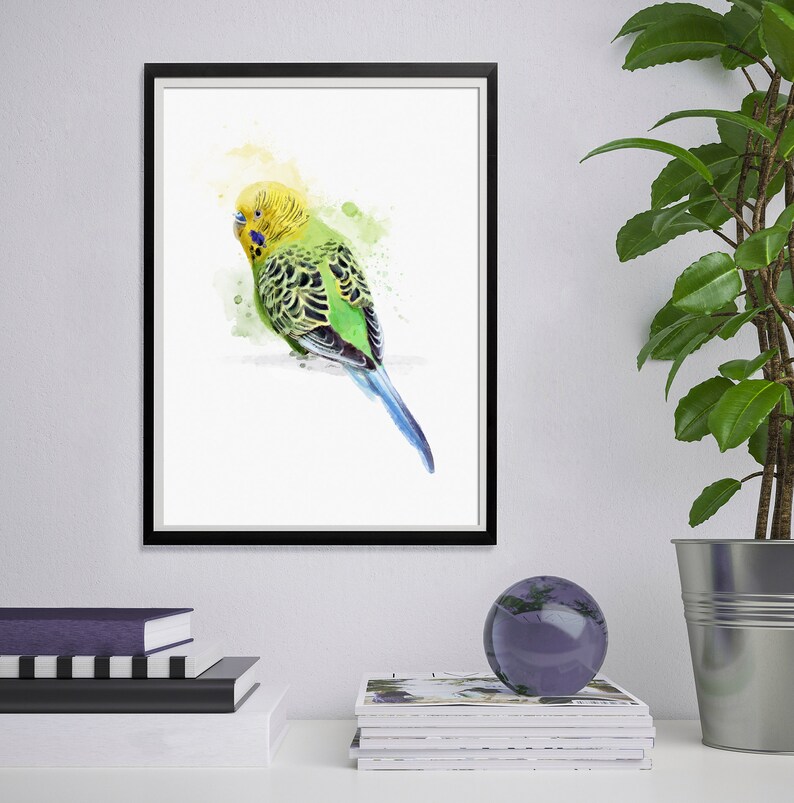 Budgie Print Budgie Watercolour Print Budgie Art Budgie - Etsy