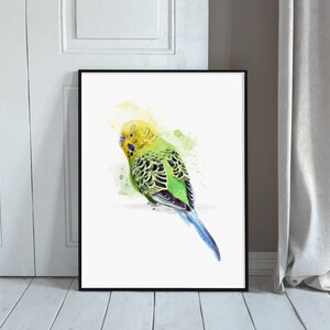 8 X 10 Inch Print - 8x10" Art Prints - Choose Any 3 Original Art Prints ...