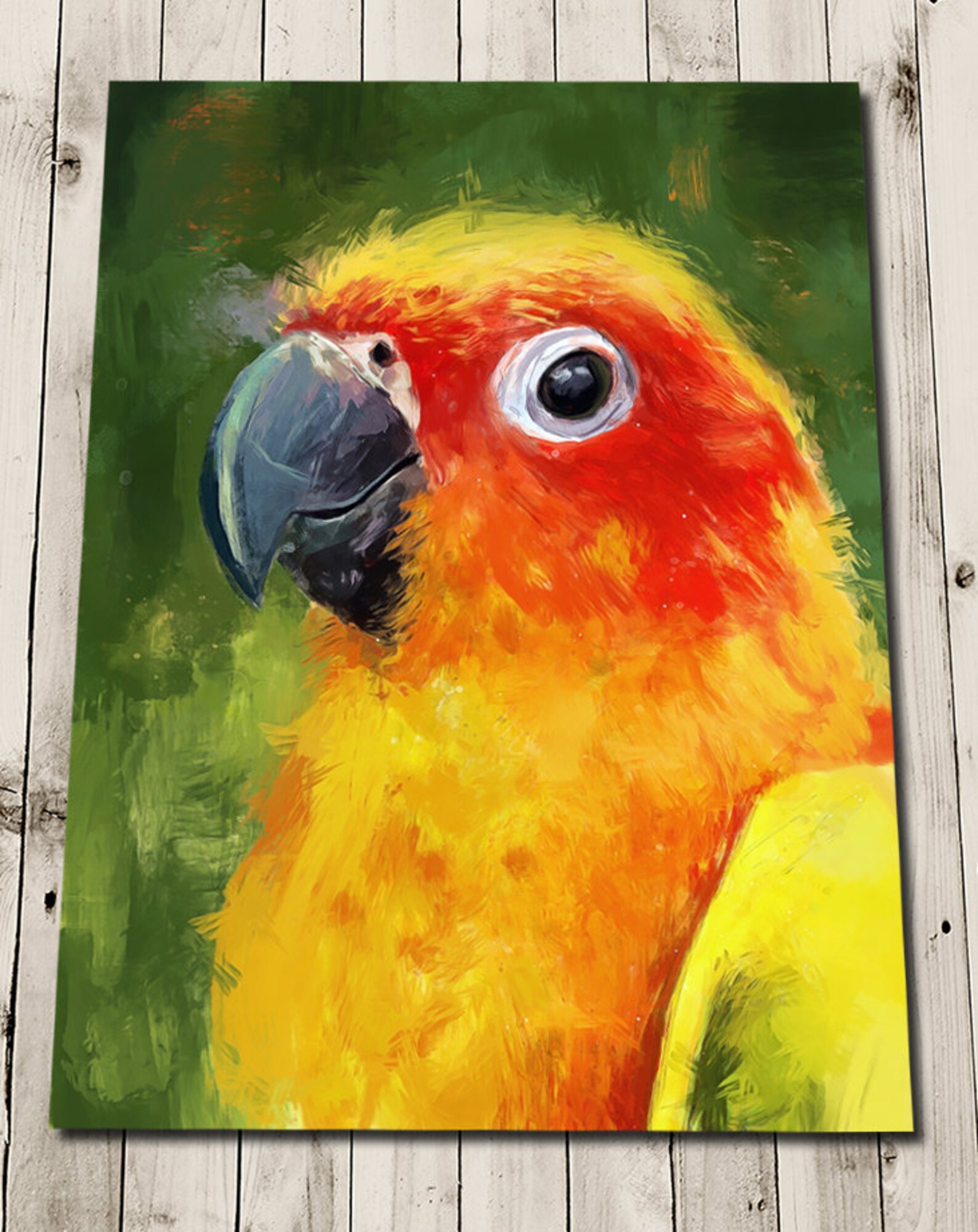 Sun Conure Art Print - Conure Flat Matte Print - Parakeet Pet Bird Art ...