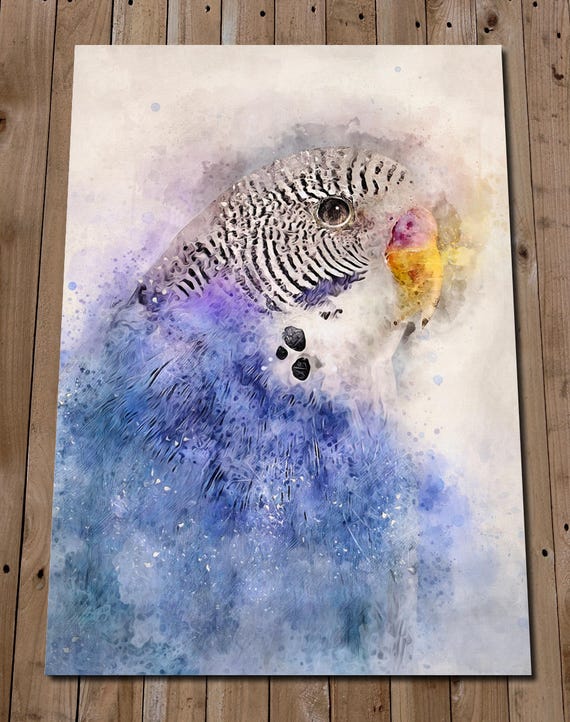 BUDGIE Wall Art Print Poster Wall Decor Blue Budgie Print - Etsy Australia