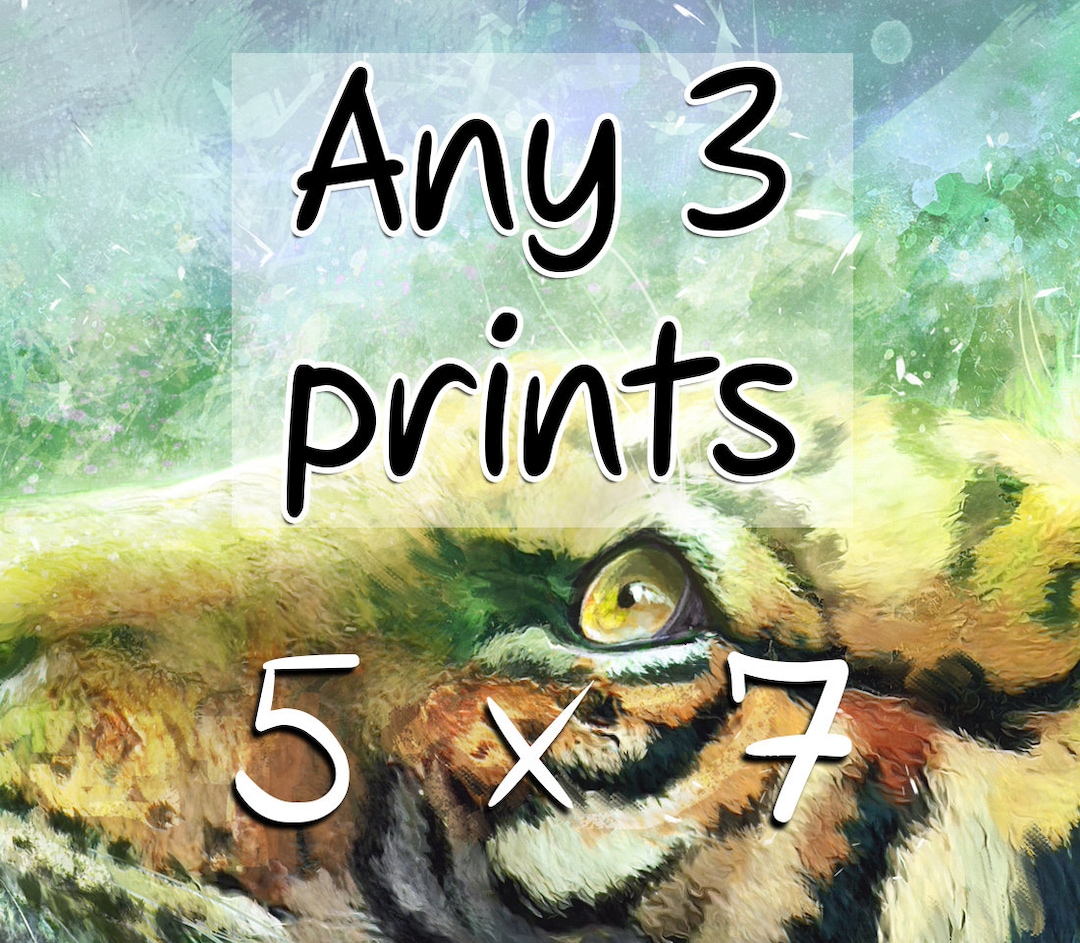 5 X 7 Inch Print - 5x7" Small Art Prints - Mix and Match Wall Art ...