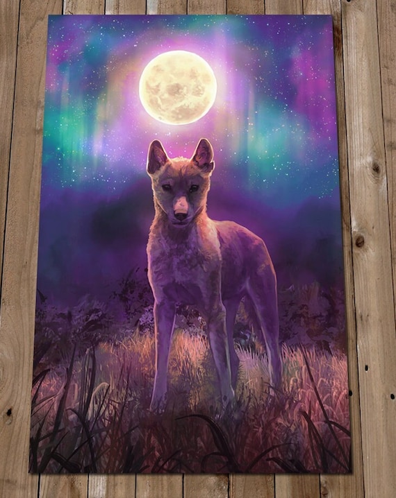 Do Dingoes Howl At The Moon