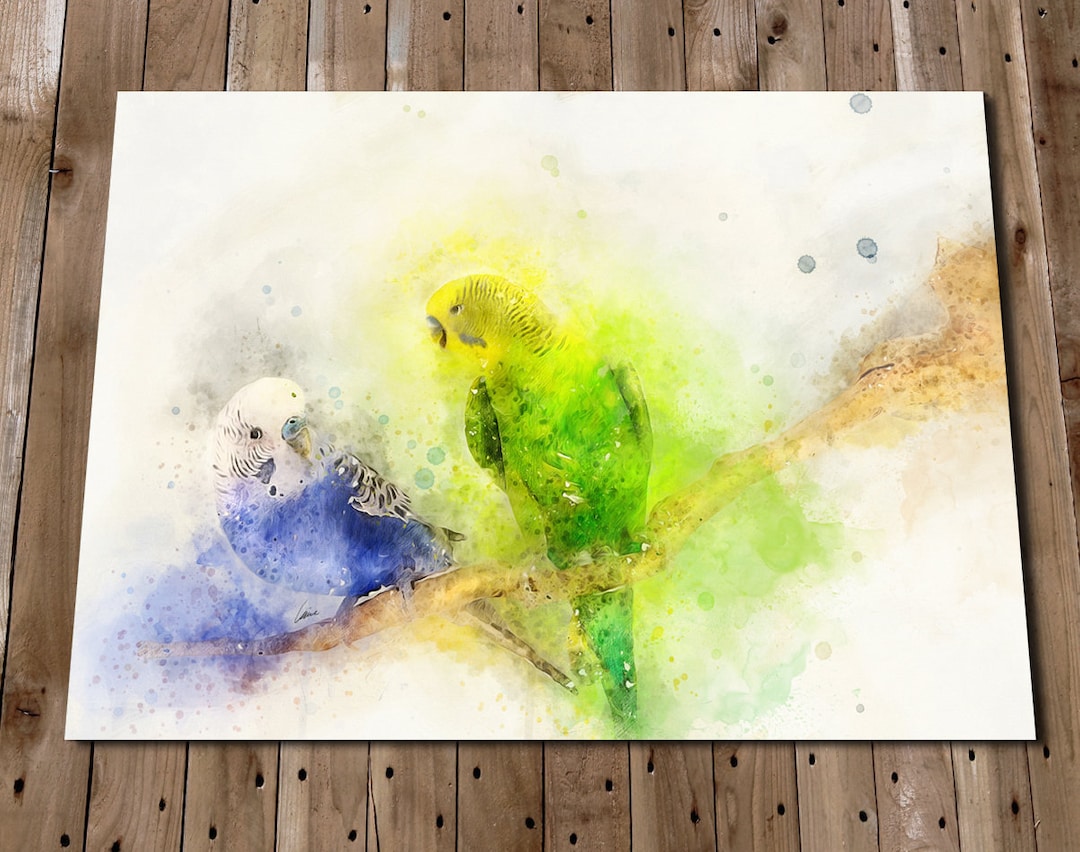 BUDGIE Art Print Poster - Bird Watercolour Wall Decor - Budgies ...