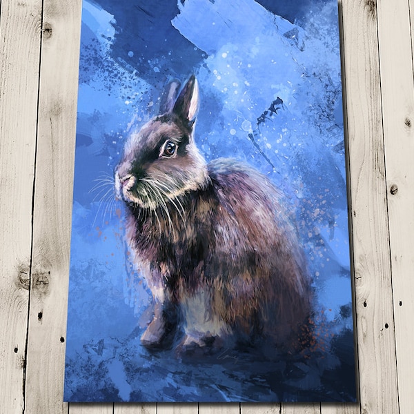 Netherland Dwarf - Etsy