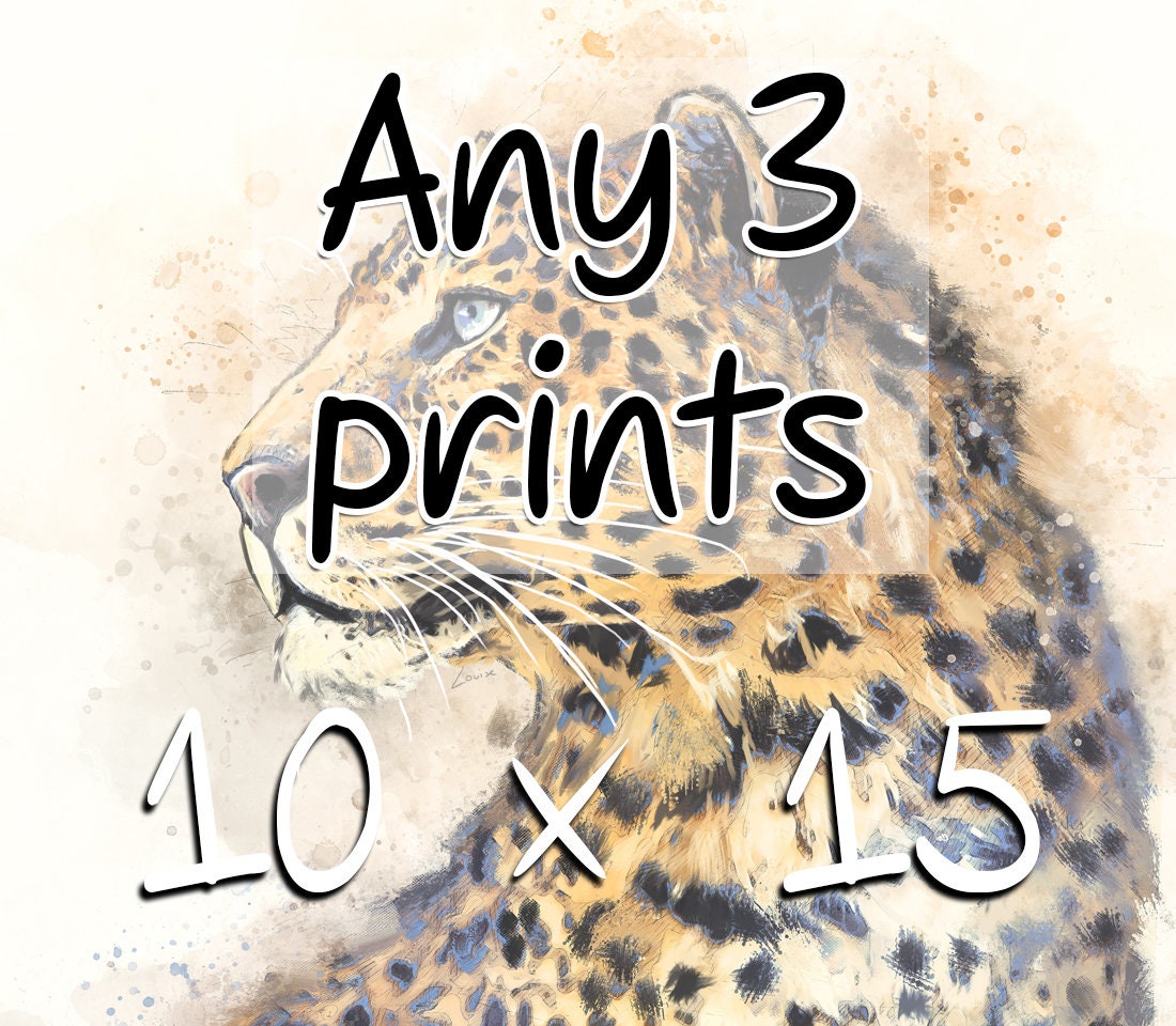 10 X 15 Inch Print 10x15 Art Prints Animal Art Choose - Etsy