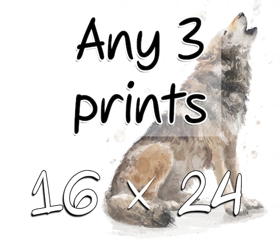 16 X 24 Inch Print 16x24 Art Prints Large Wall Art - Etsy UK