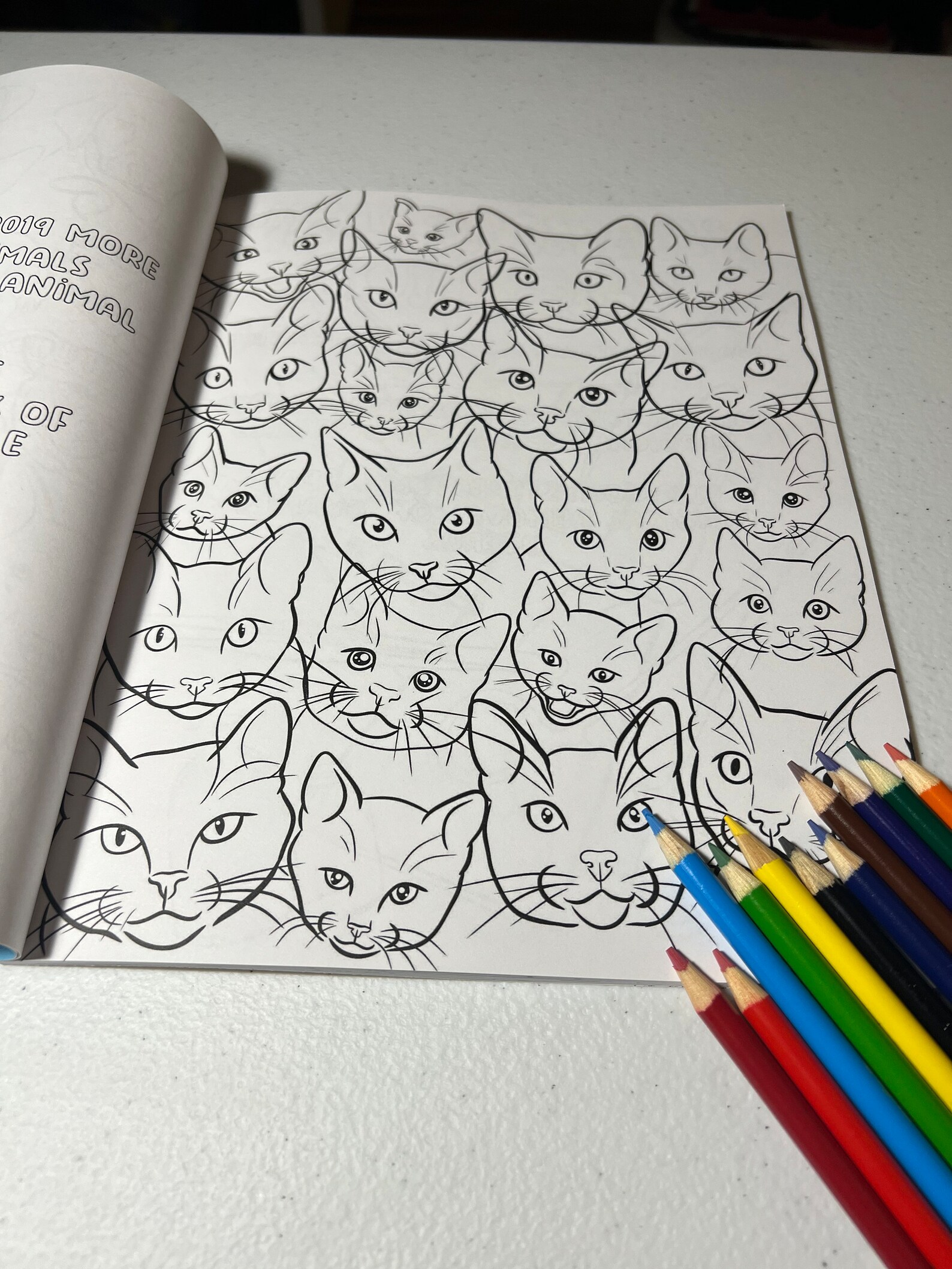 The Spay Neuter Coloring Book, Spay Oklahoma, Animal Rescue, Dog Cat ...