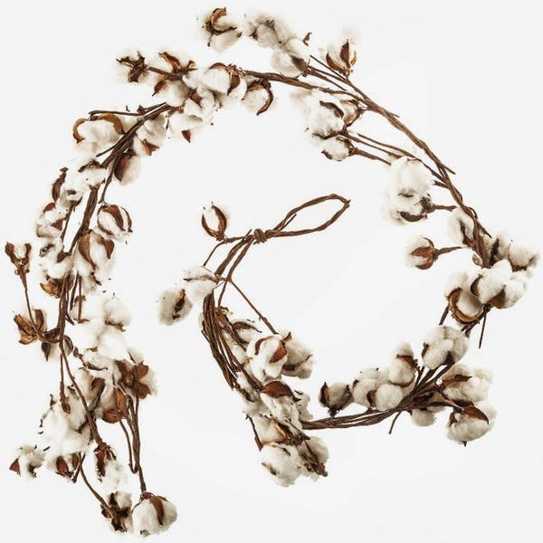 Cotton Boll Art - Etsy