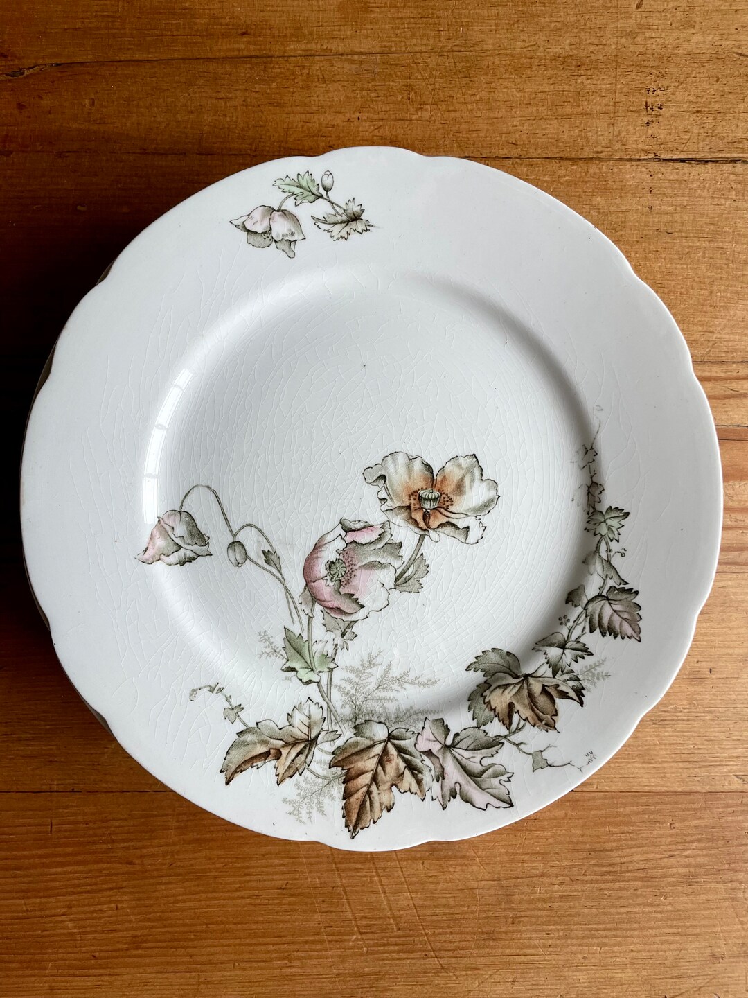 Antique Ironstone Plates Floral Transferware John Edwards Wind.flower ...
