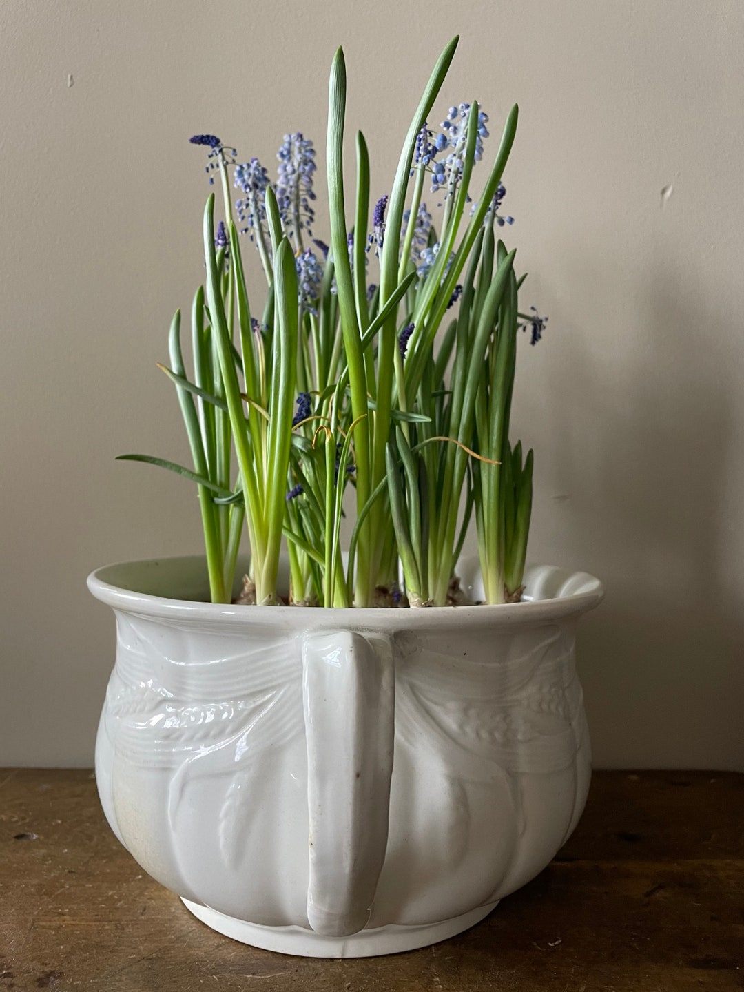 Antique Ironstone Chamber Pot Wheat Pattern - Etsy