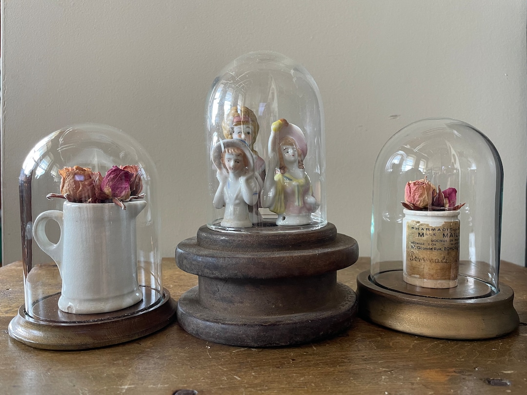 Vintage Glass Display Dome Wood Bases - Etsy