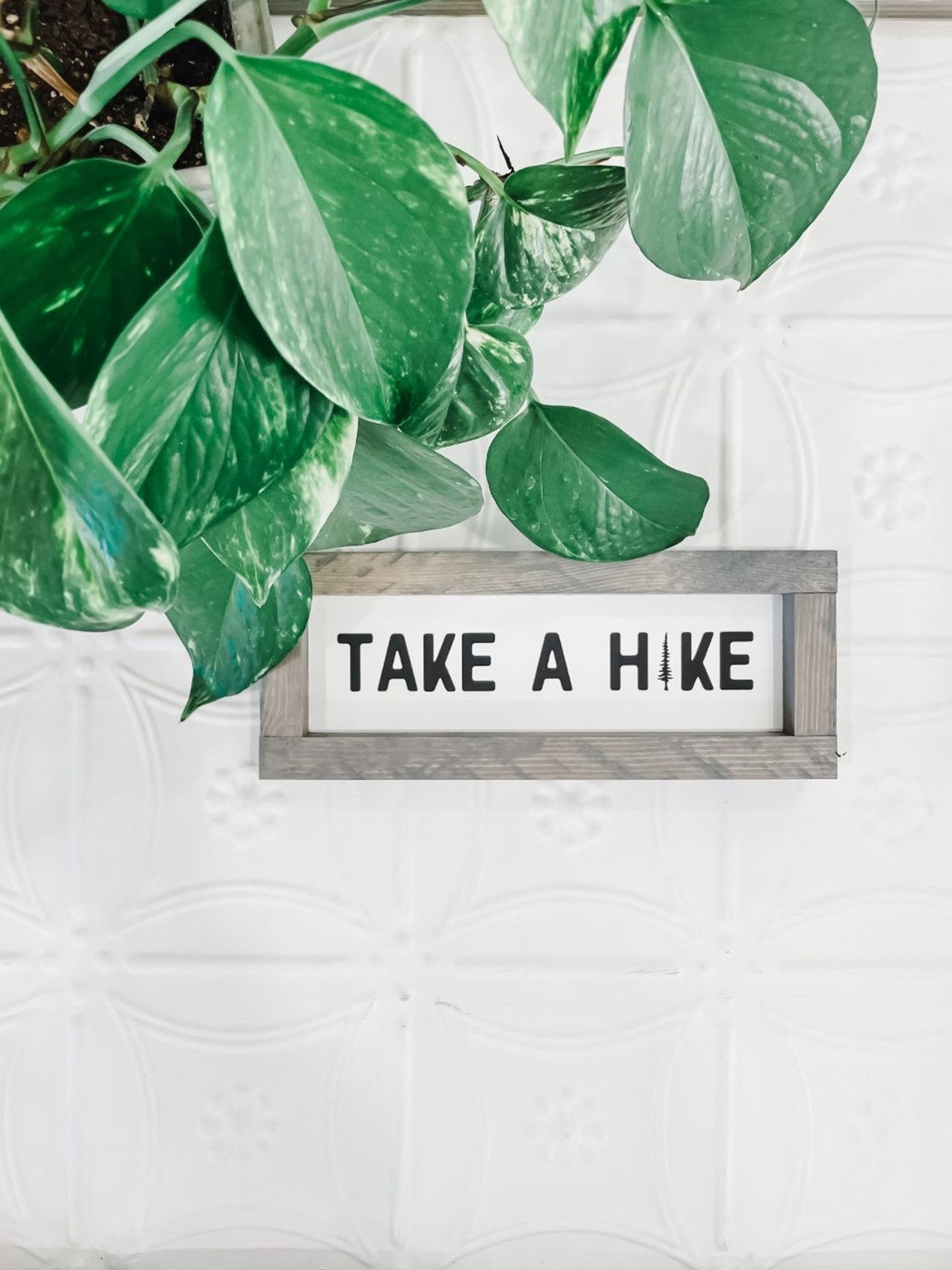 Take A Hike Framed Wooden Sign Painted Lettering Rustic - Etsy