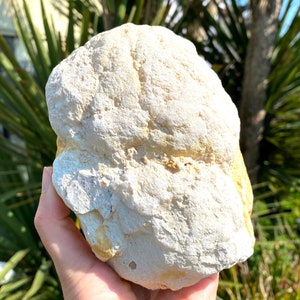 Unbroken Geode Huge Geode Natural Geode White Quatz Geode Mineral ...