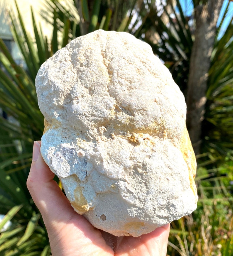 Unbroken Geode Huge Geode Natural Geode White Quatz Geode | Etsy UK