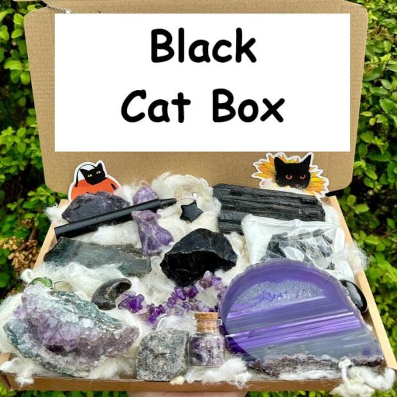 Black Cat Crystal Box - Etsy