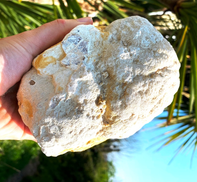 Unbroken Geode Huge Geode Natural Geode White Quatz Geode | Etsy UK