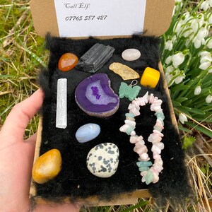 Shark Crystal Box, Fossil Gift Box, Shark Tooth Crystal Set, Fossil ...