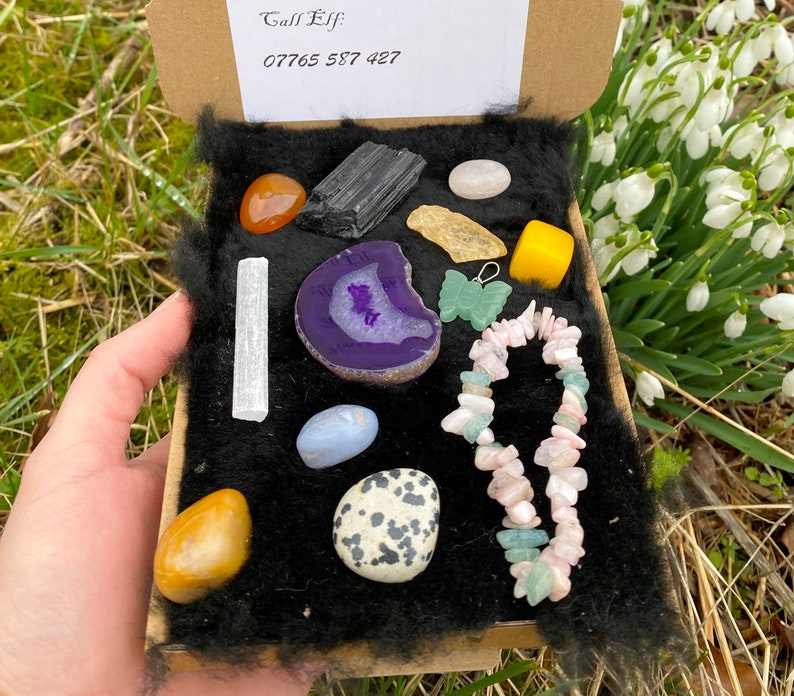 Shark Crystal Box Fossil Gift Box Shark Tooth Crystal Set - Etsy