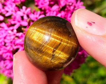 Tiger Eye Marbles | Etsy