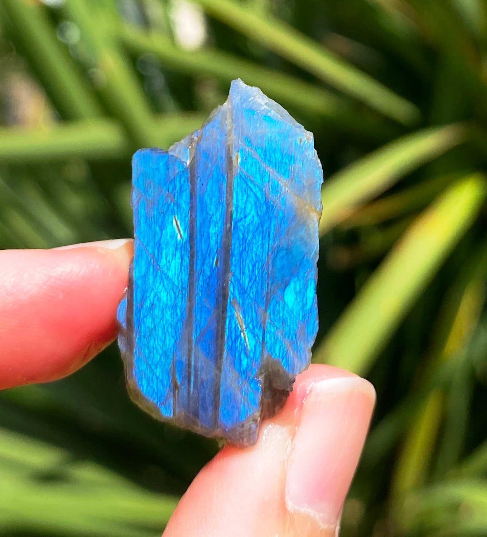 Raw Labradorite Raw Natural Labradorite Real Labradorite - Etsy