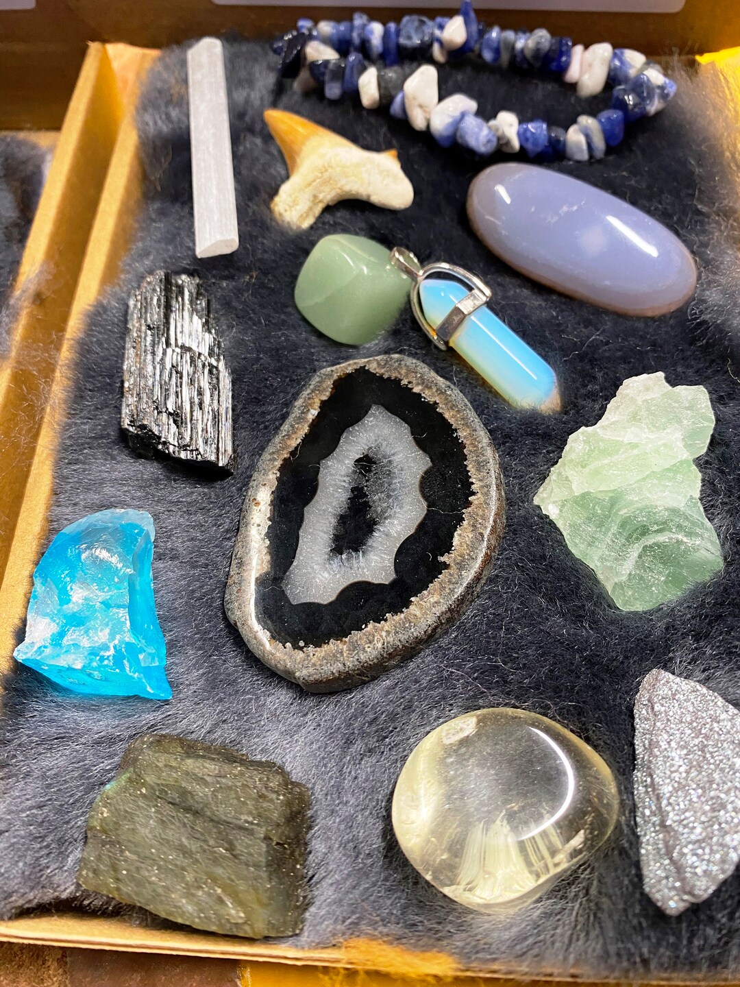 Shark Crystal Box, Fossil Gift Box, Shark Tooth Crystal Set, Fossil ...