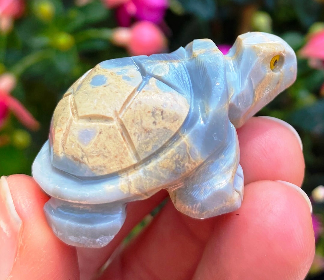 Christmas Tortoise, Stocking Stuffer Tortoise, Halloween Tortoise ...