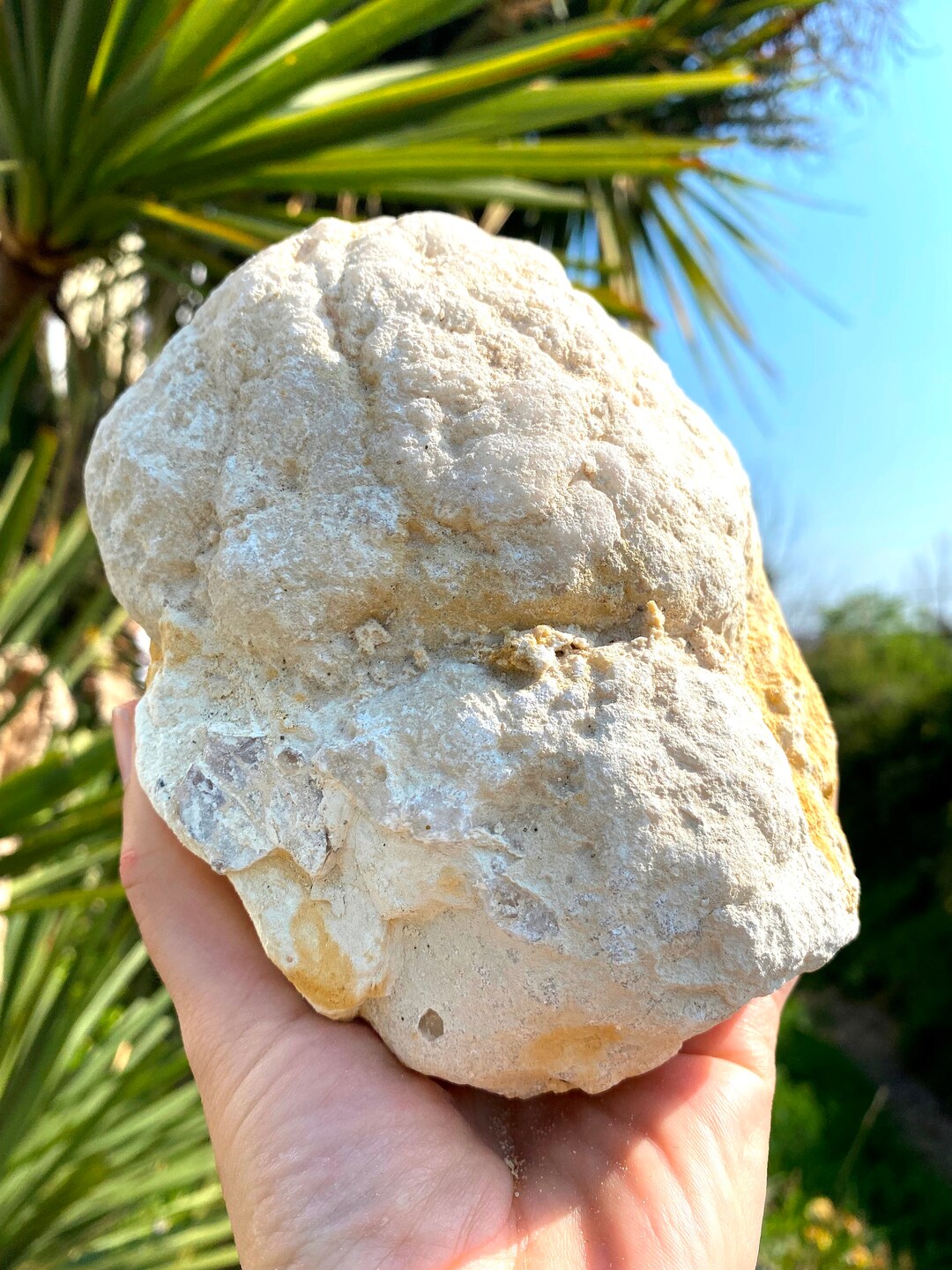 Unbroken Geode Huge Geode Natural Geode White Quatz Geode Mineral ...