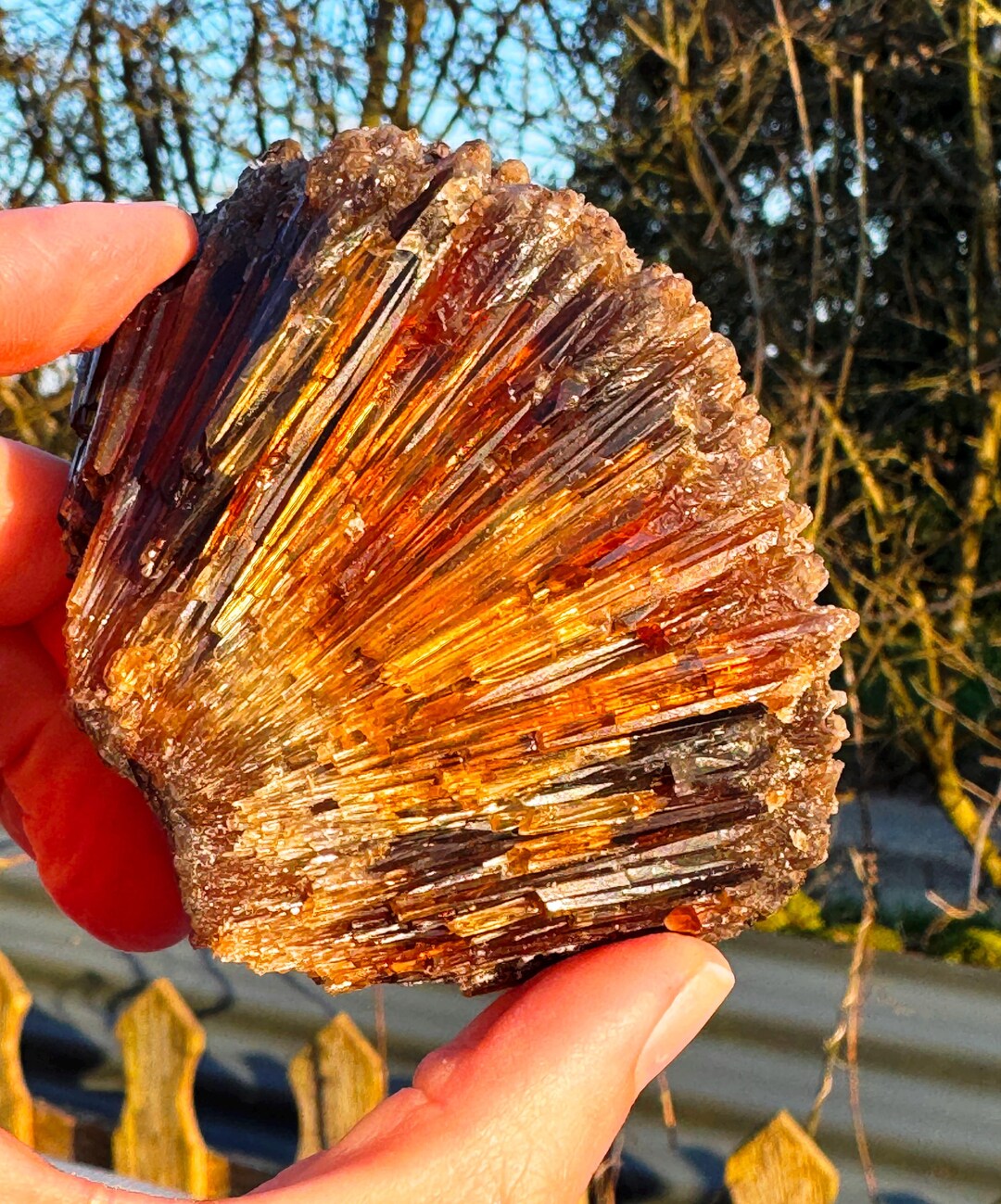Fan Shaped Flame Stone Crystal Vitality Blazing Fire Stone Flame Stone ...