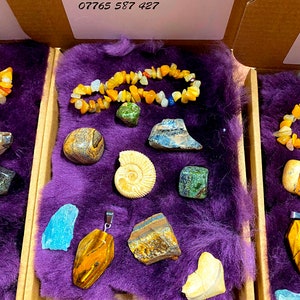 Shark Crystal Box, Fossil Gift Box, Shark Tooth Crystal Set, Fossil ...