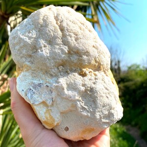 Unbroken Geode Huge Geode Natural Geode White Quatz Geode Mineral ...
