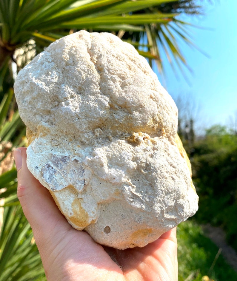 Unbroken Geode Huge Geode Natural Geode White Quatz Geode | Etsy UK