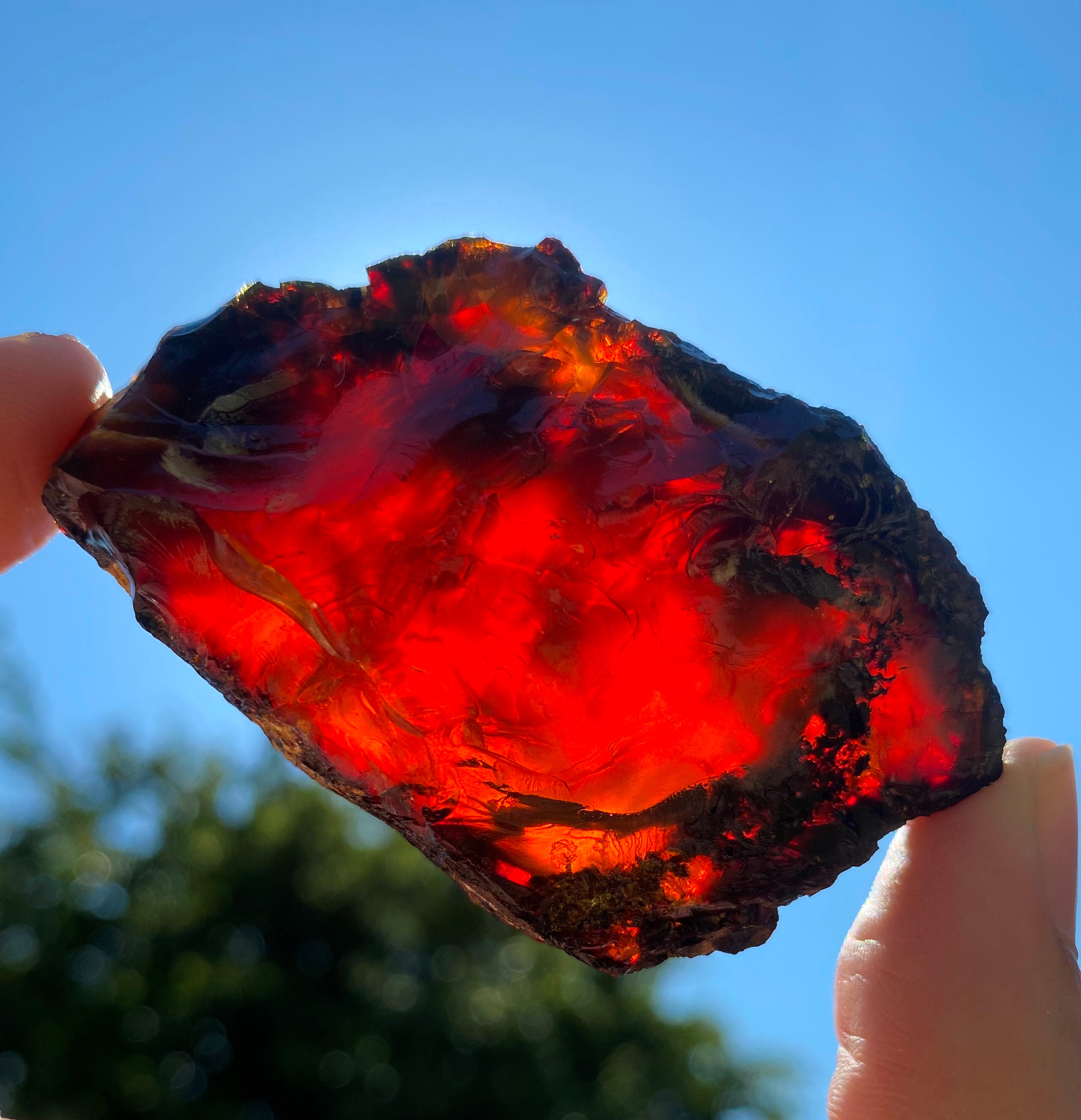 Black Amber Rough Amber Raw Black Amber Collectable - Etsy UK