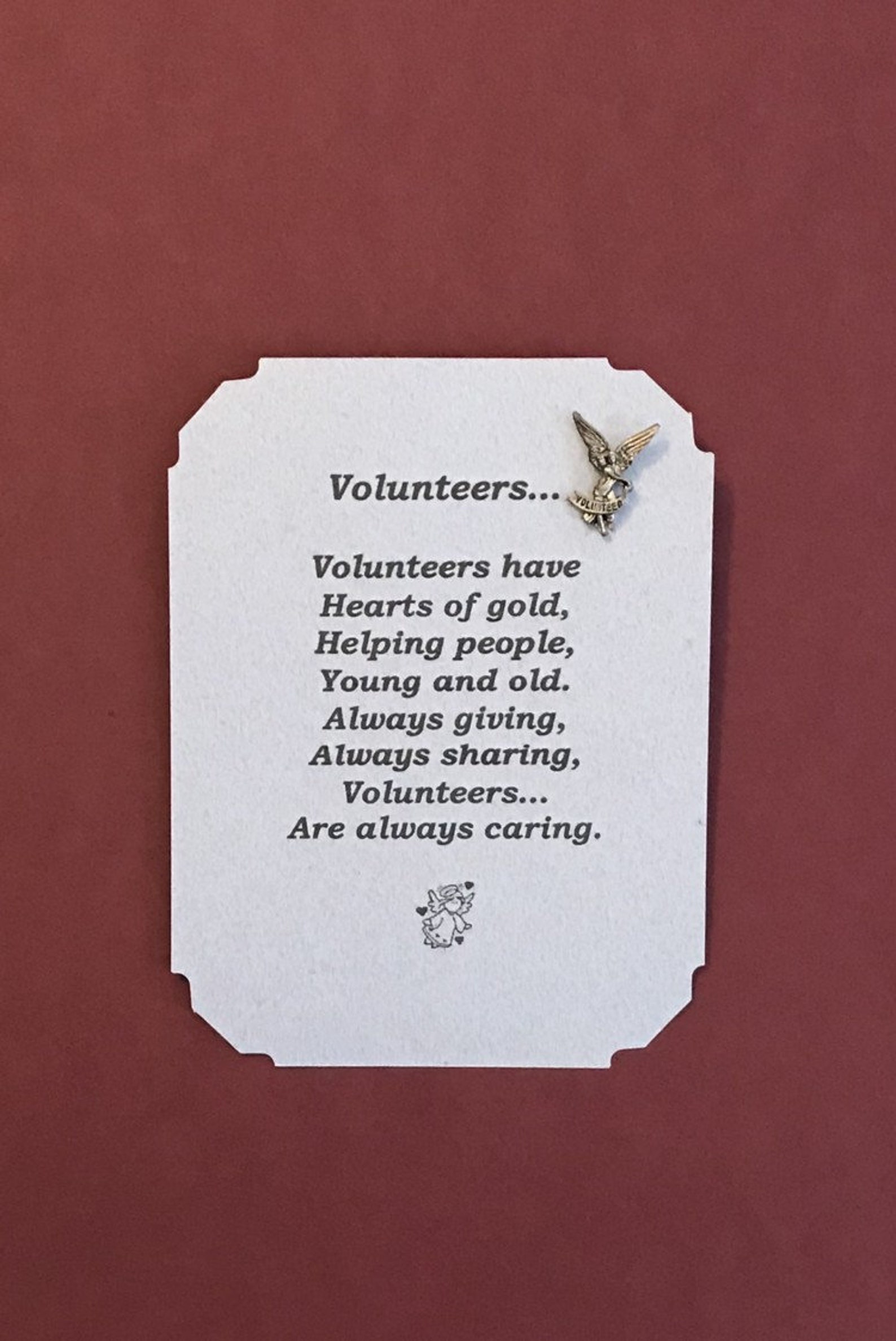 Volunteers Angel Pin Set - Etsy
