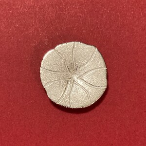 Sand Dollar Legend Token Set - Etsy